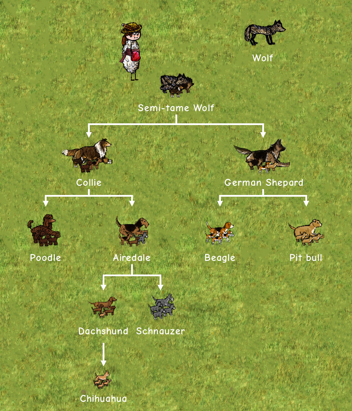 How To Breed Dogs ions Advice You Are Hope